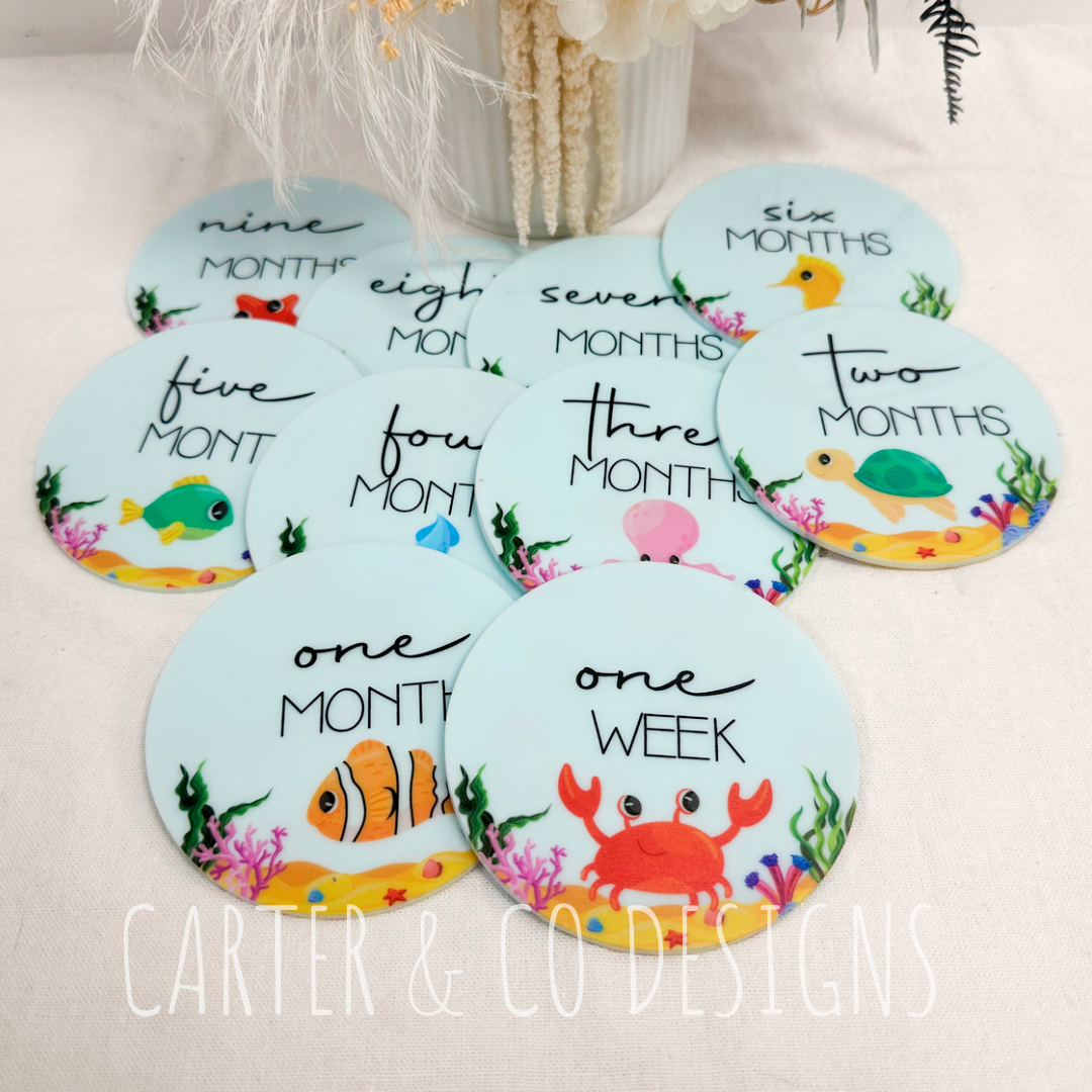 Under the Sea – Carter Co Designs